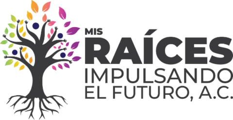 Socios Operadores - YouthBuild México